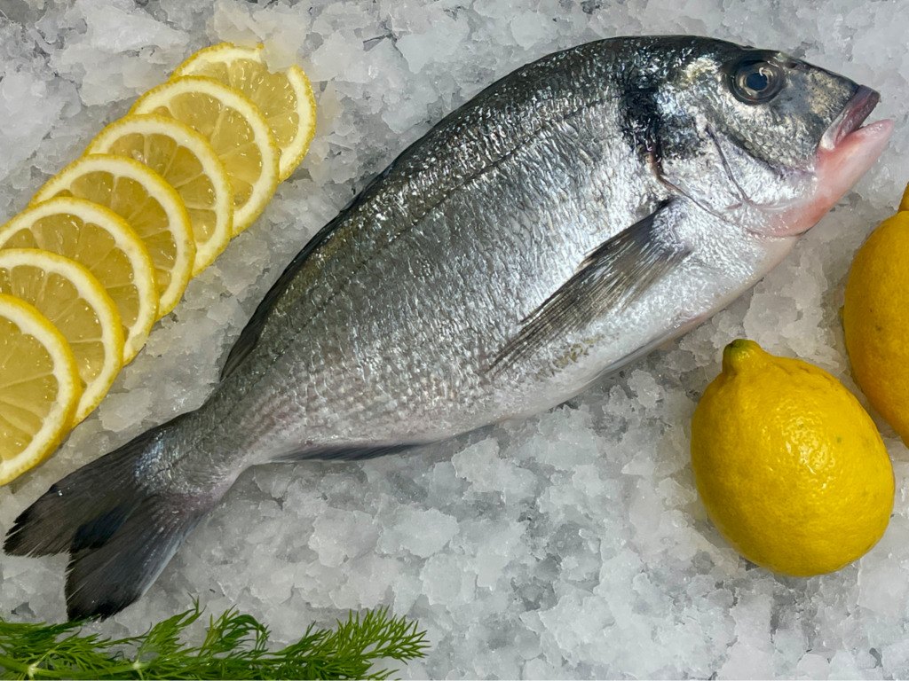 DORADE - Visspeciaalzaak Dalfijn