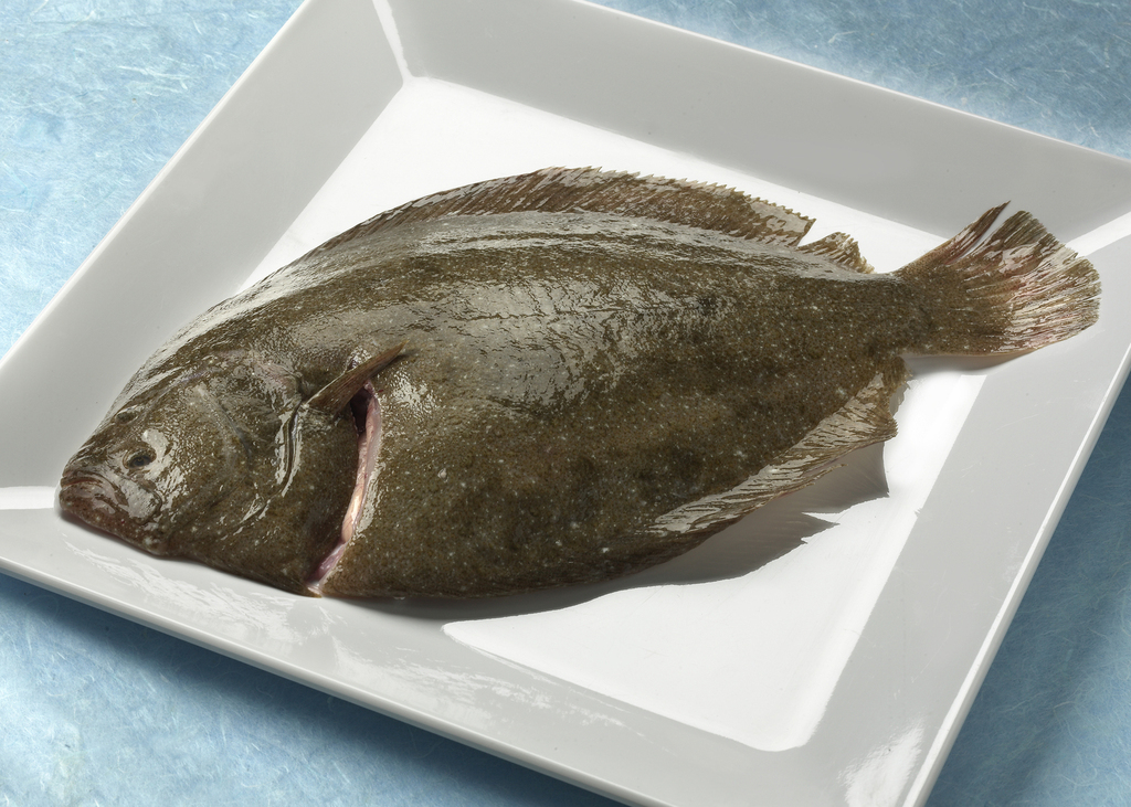 GRIET - Visspeciaalzaak Dalfijn