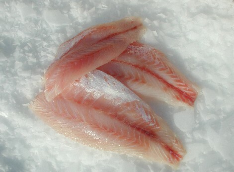 Victoriabaarsfilet ca 200 gram - Vishandel De Graaf - Roos & Zn