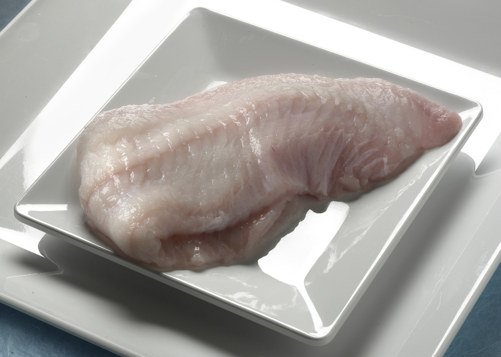 Zeewolf, filet - Heeren van de Zee