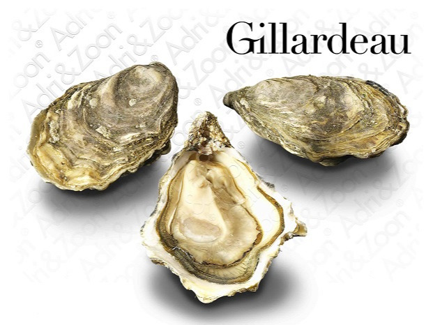 gillardeau oester nr 4 per 12 st - Vishandel Noordzee