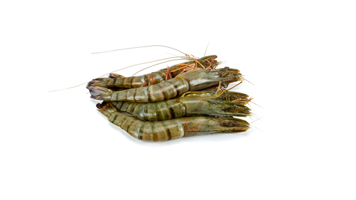 Gamba's rauw met kop 16/20 - Vishandel Noordzee