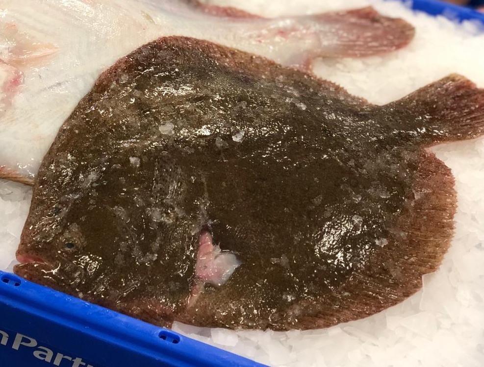 Griet + grietfilet - Vishandel Noordzee