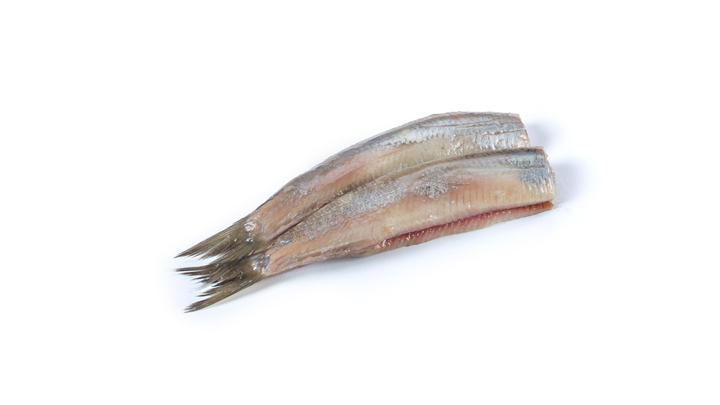 Hollandse nieuwe 2025 - Vishandel Noordzee